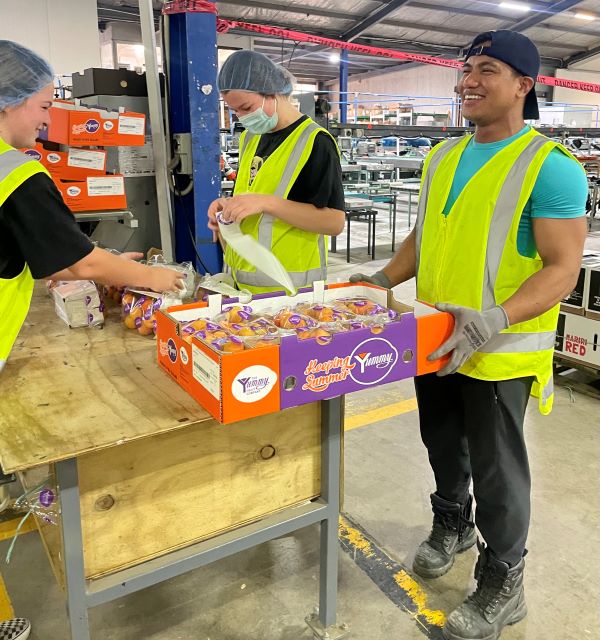 Join the Team | The Yummy Fruit Co